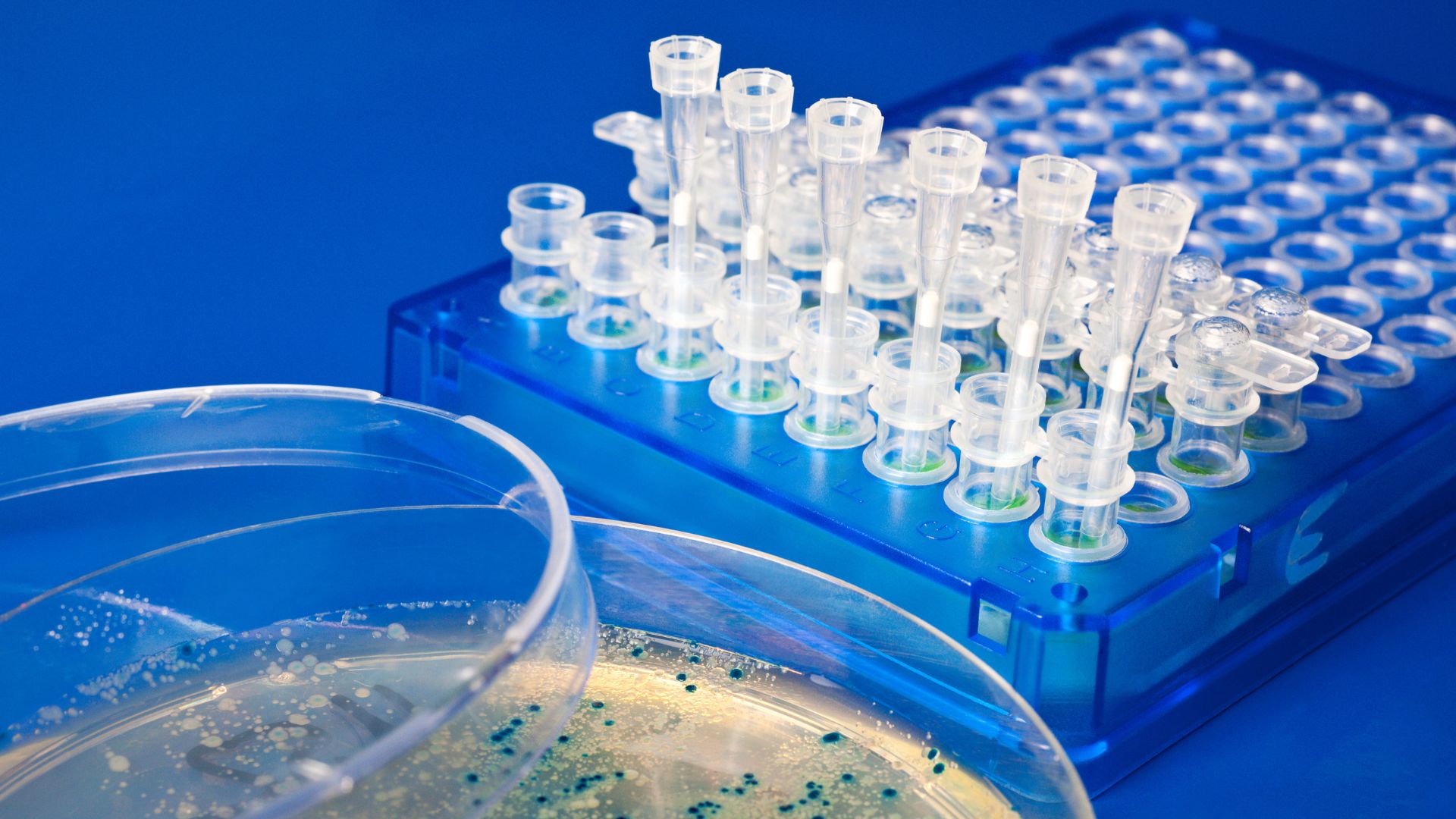 Grade A Isolators in Pharma: Benefits Over Conventional Aseptic Zones